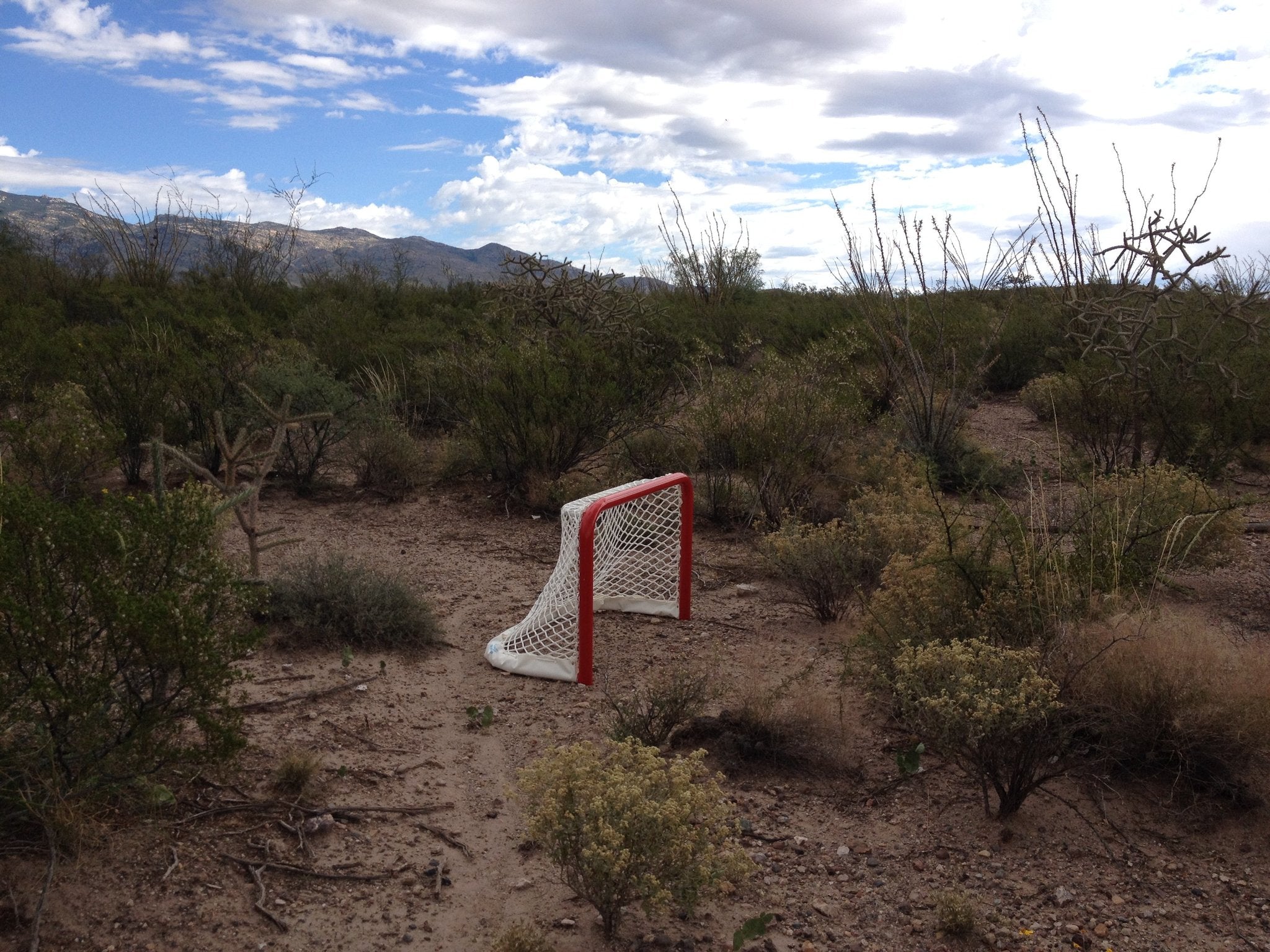 36" x 24" 6U Ice Hockey Goal, One Piece Welded, 2" Mini-Mite size ...
