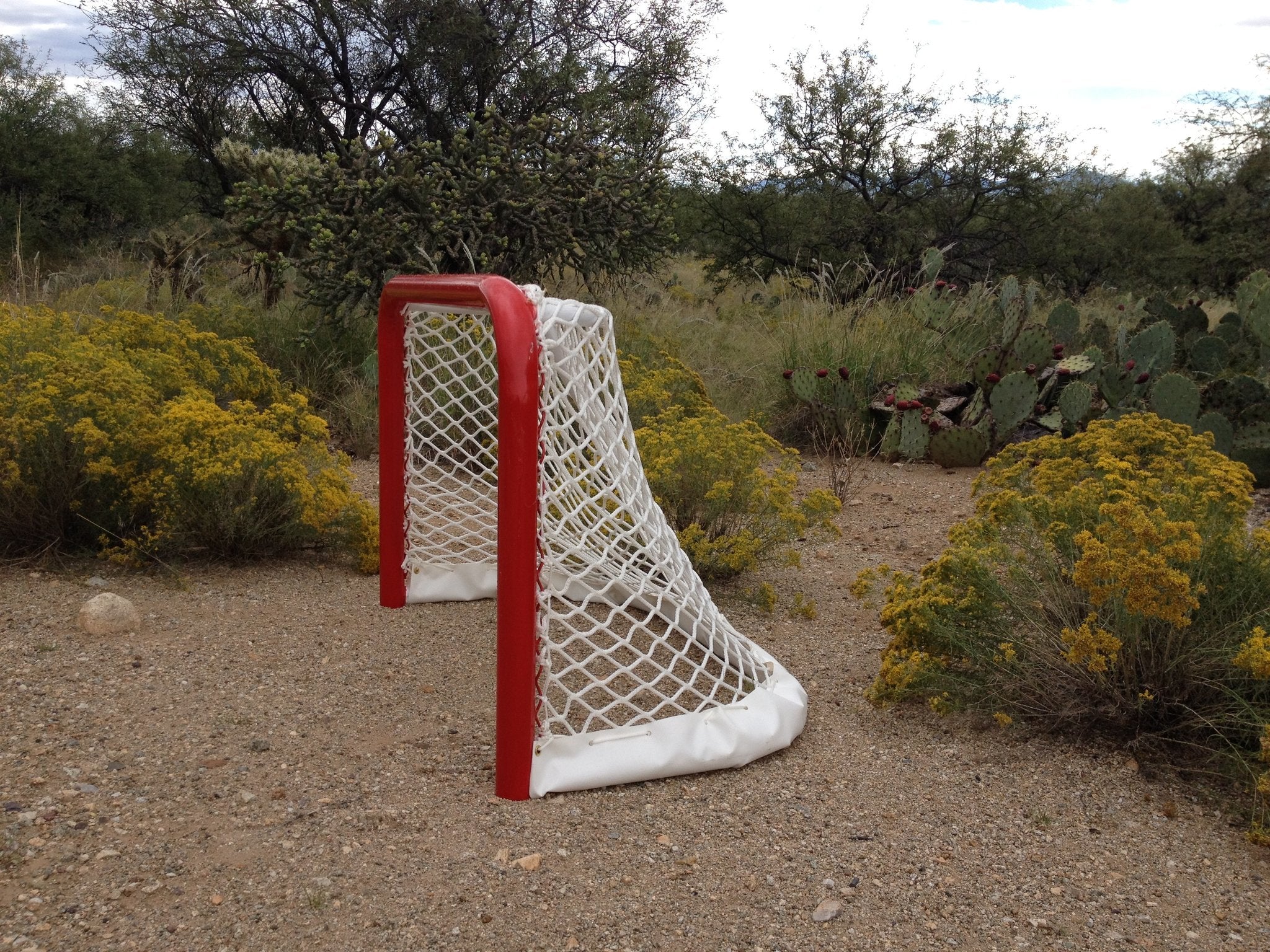 36" x 24" 6U Ice Hockey Goal, One Piece Welded, 2" Mini-Mite size ...
