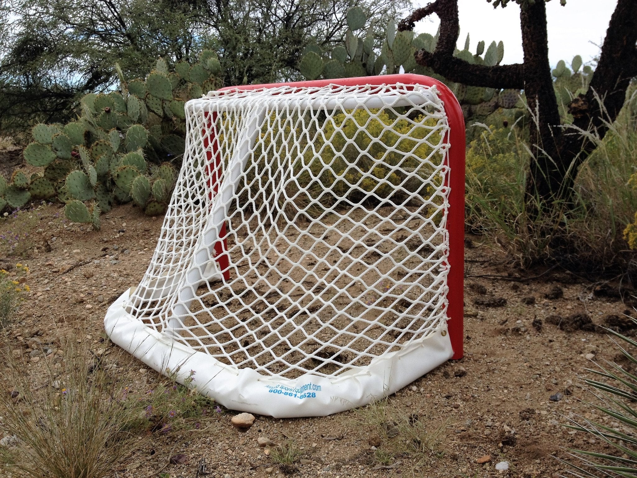36" x 24" 6U Ice Hockey Goal, One Piece Welded, 2" Mini-Mite size ...